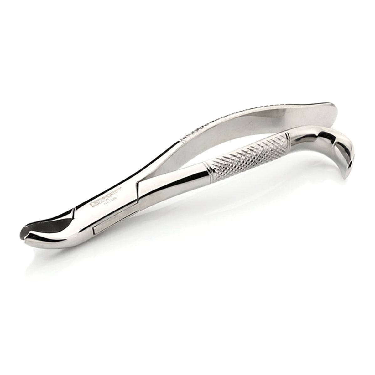 18R Maxillary Forceps | Avtec Dental