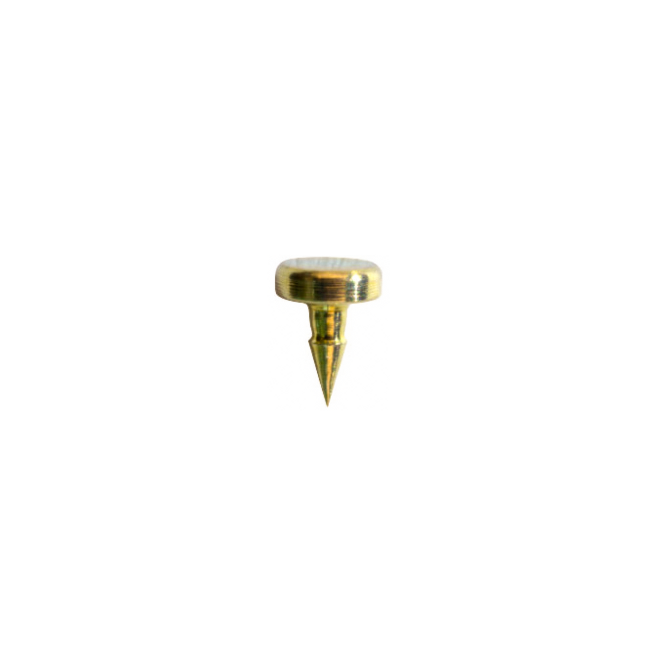 Titanium Bone Tacks (5/pack) | Avtec Dental