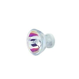 Light Bulb, 12 VAC 100 Watt - DCI 8694 | Avtec Dental