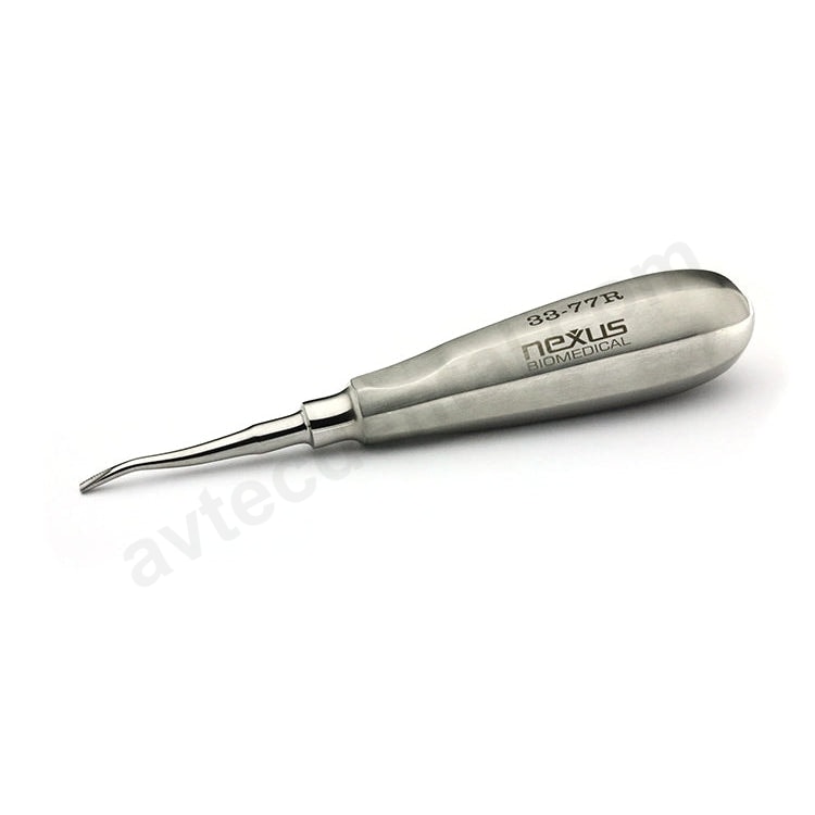 77R Mesial Root Elevator, Serrated | Avtec Dental