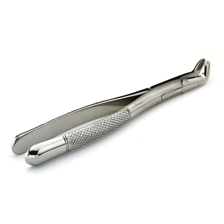 222 Forceps | Avtec Dental