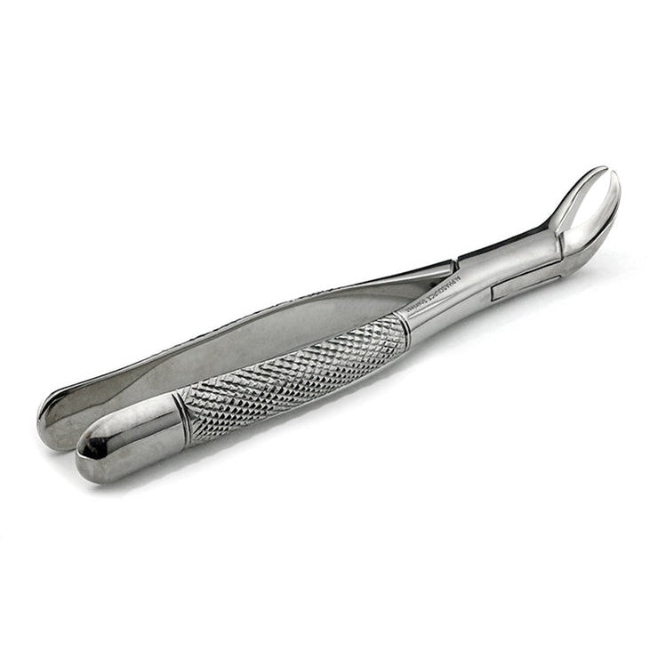 23 Cow horn Forceps | Avtec Dental