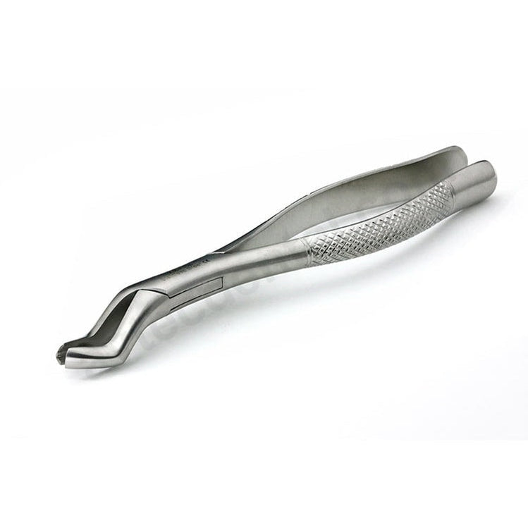 53L Forceps | Avtec Dental