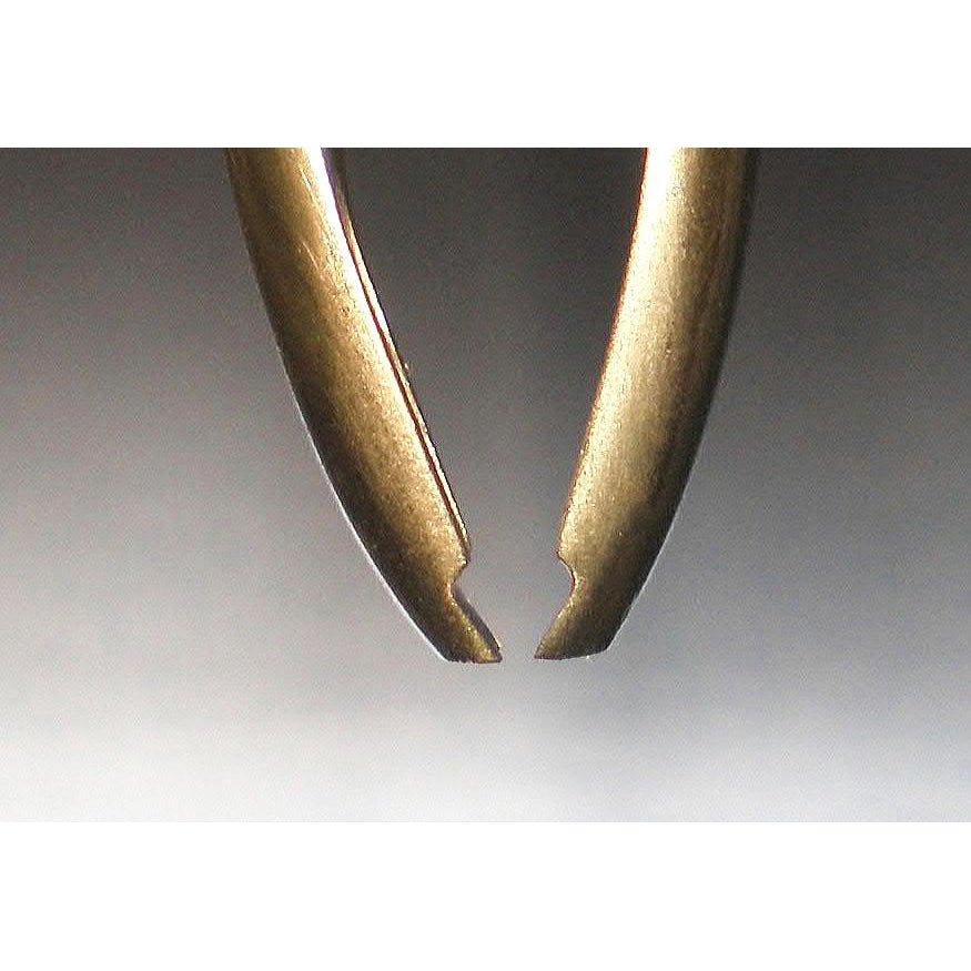 TempOff® - Temporary Crown Remover | Avtec Dental